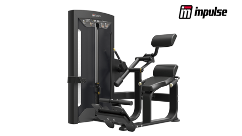 IMPULSE FITNESS FE9732 BACK EXTENSION | AFTON | INDIA